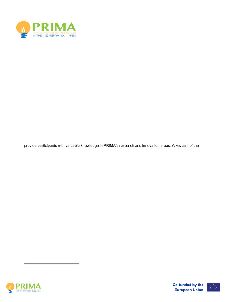 PRIMA Internship VN 25.09.24 | PDF