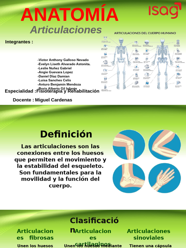 articulaciones-1 | PDF