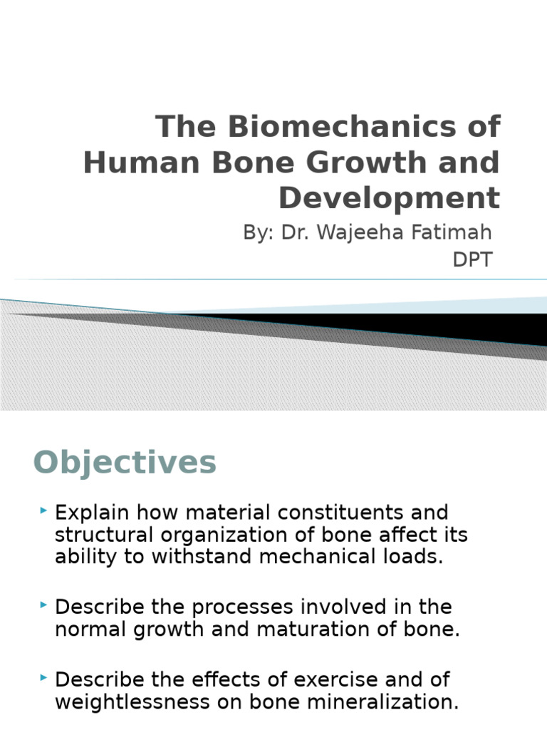 The Biomechanics of Human Bone Growth and Development 1 | PDF