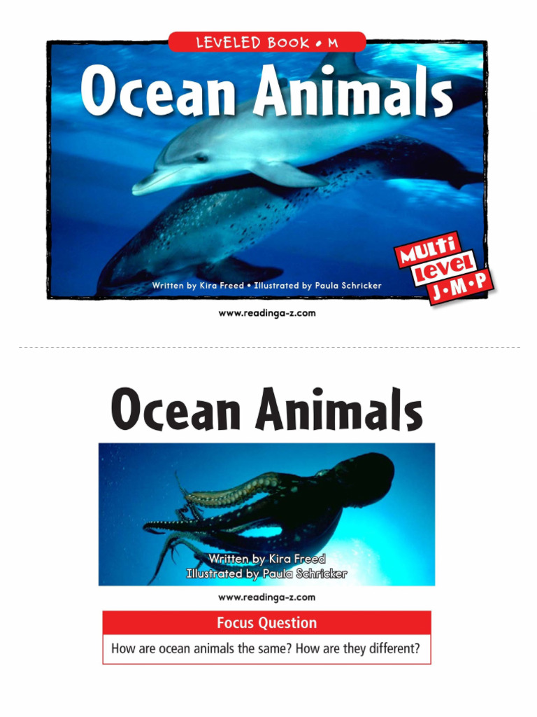 Ocean Animals | PDF