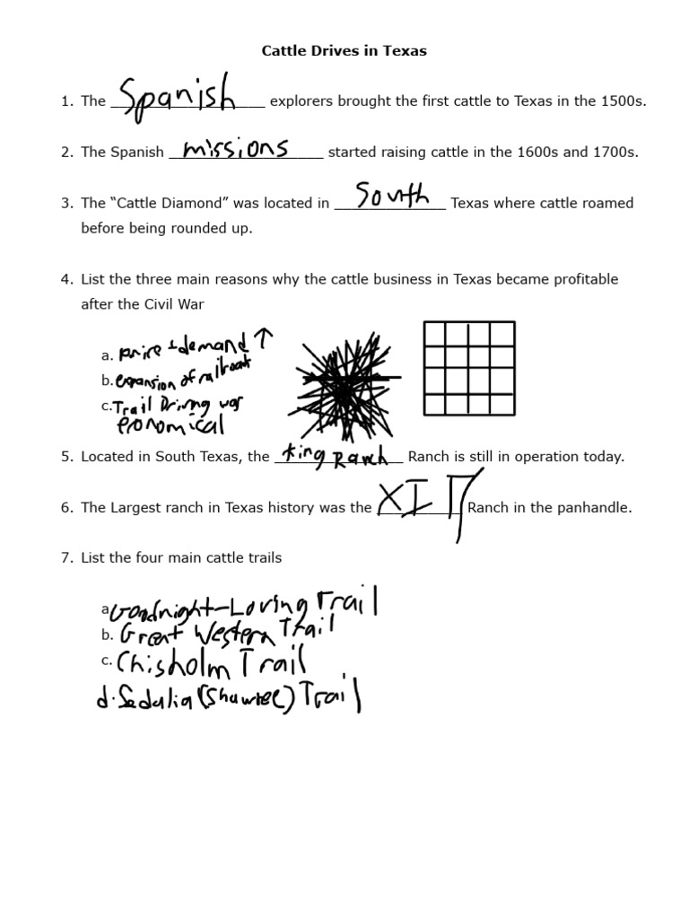 Cattle Drives in Texas - Notes | PDF