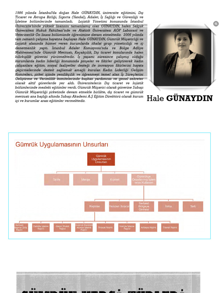 Sunum 2-Ihracat | PDF