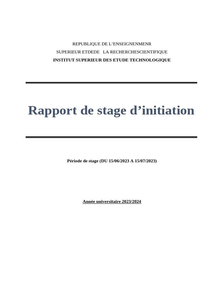 Rapport de Stage Dinitiation | PDF