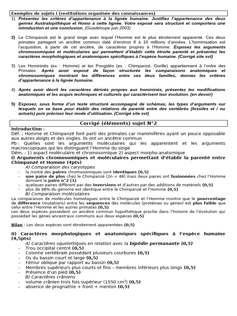 Sujets 1 | PDF