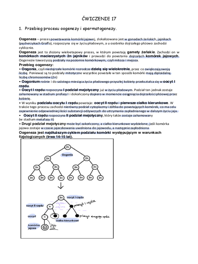 Ćwiczenie Oogeneza | PDF