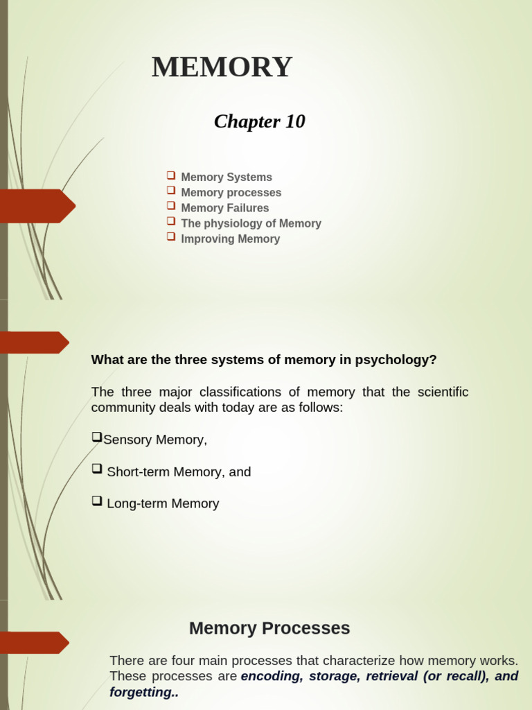 Chapter 10 Memory | PDF