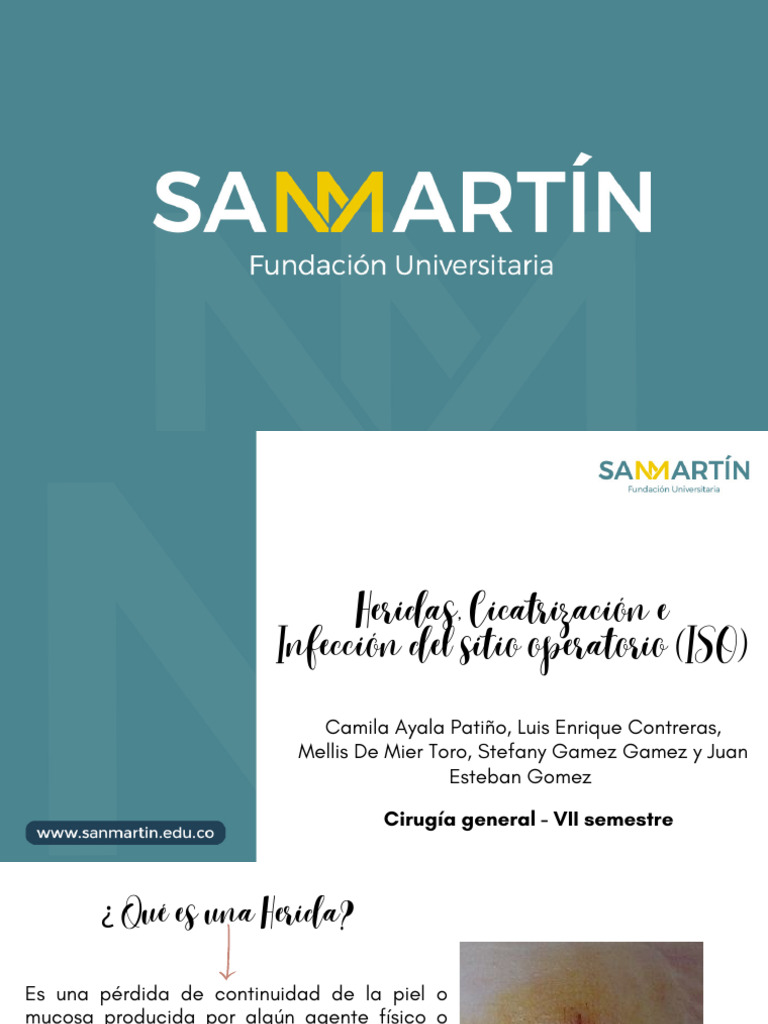 HERIDAS, CICATRIZACION, IOS CIRUGIA - PPTX - 20240722 - 213924 - 0000 | PDF
