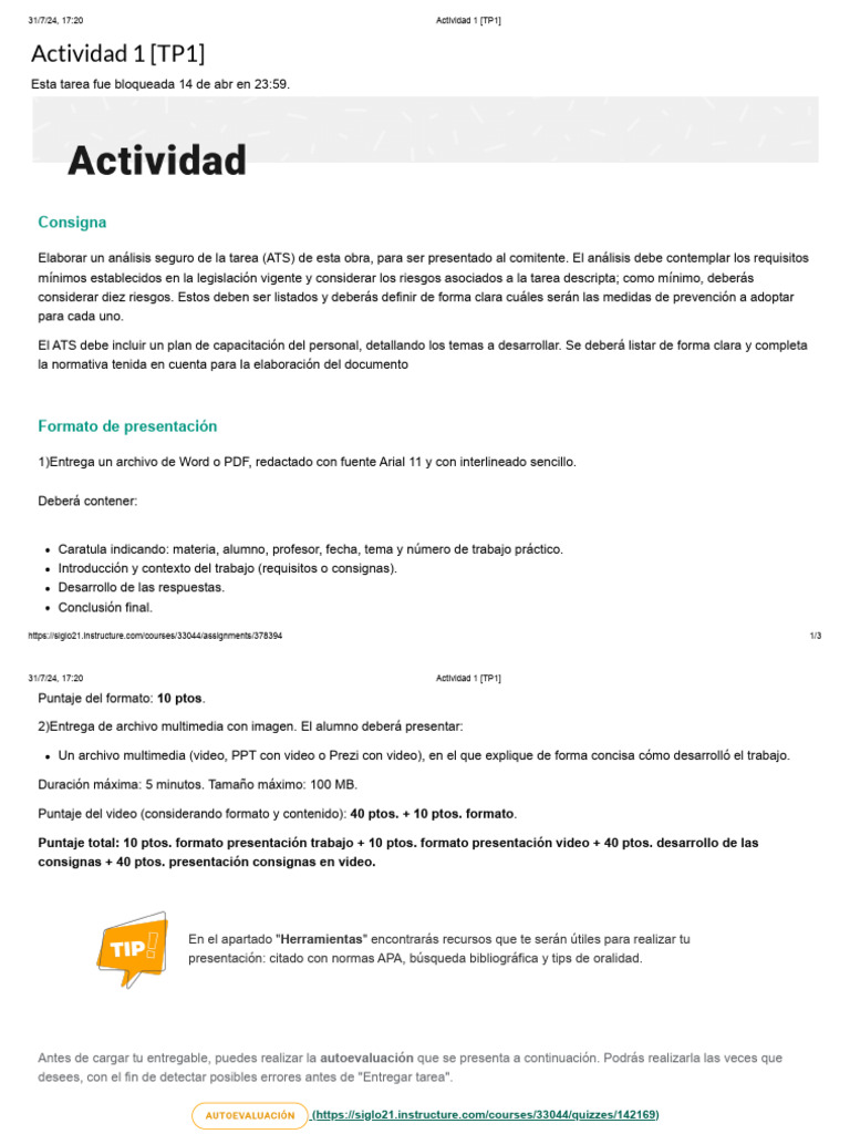 Actividad 1 (Tp1) Integración Profesional | PDF