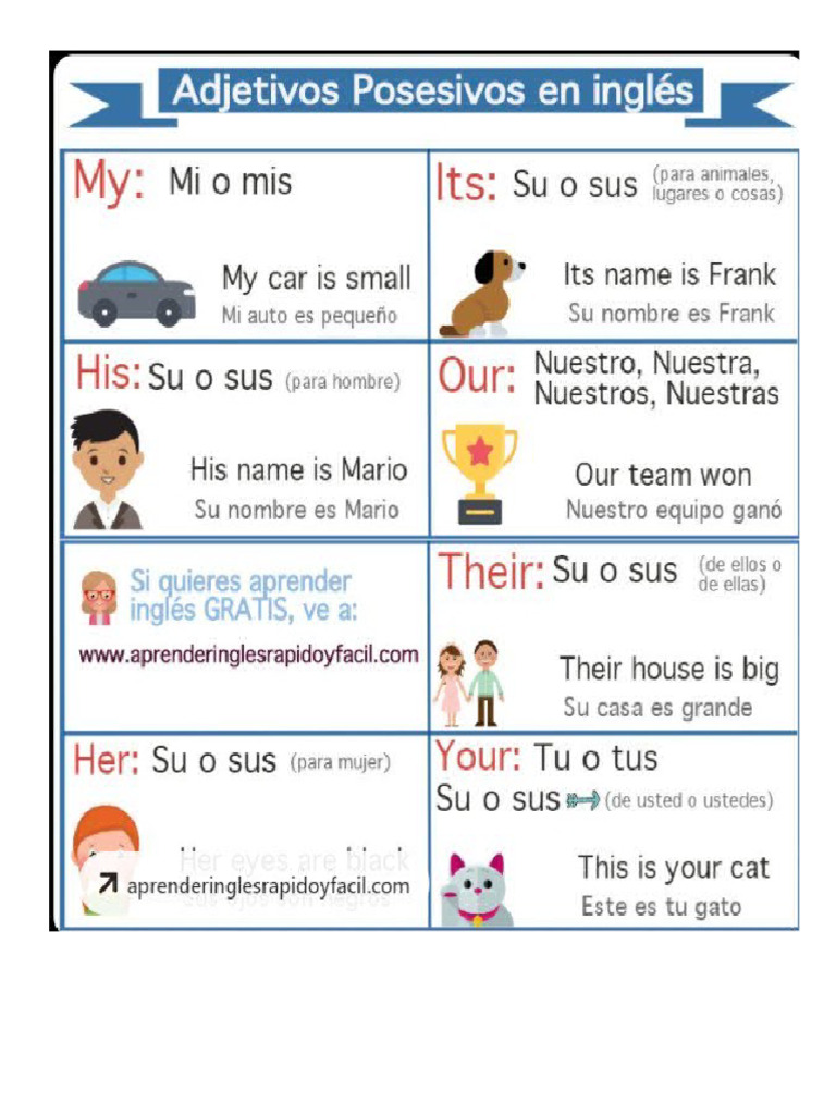 Adjetivos Posesivos | PDF