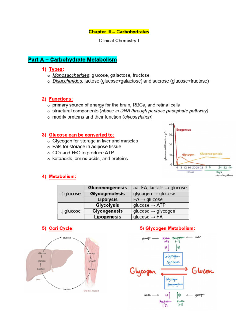 Clinical Ch.3 Summary | PDF | Diabetes | Wellness