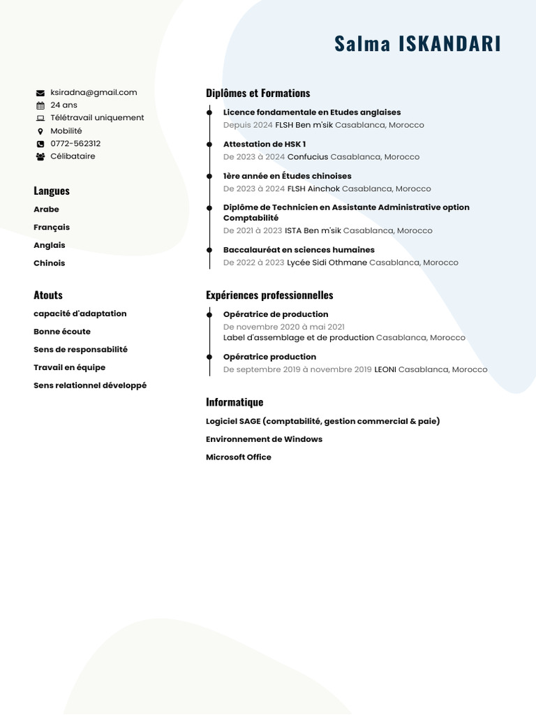 CV 2024-10-07 Salma Iskandari | PDF