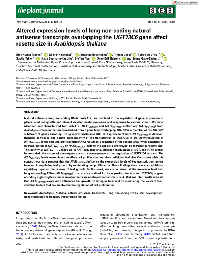The Plant Journal - 2022 - Meena - Altered expression levels of long ...
