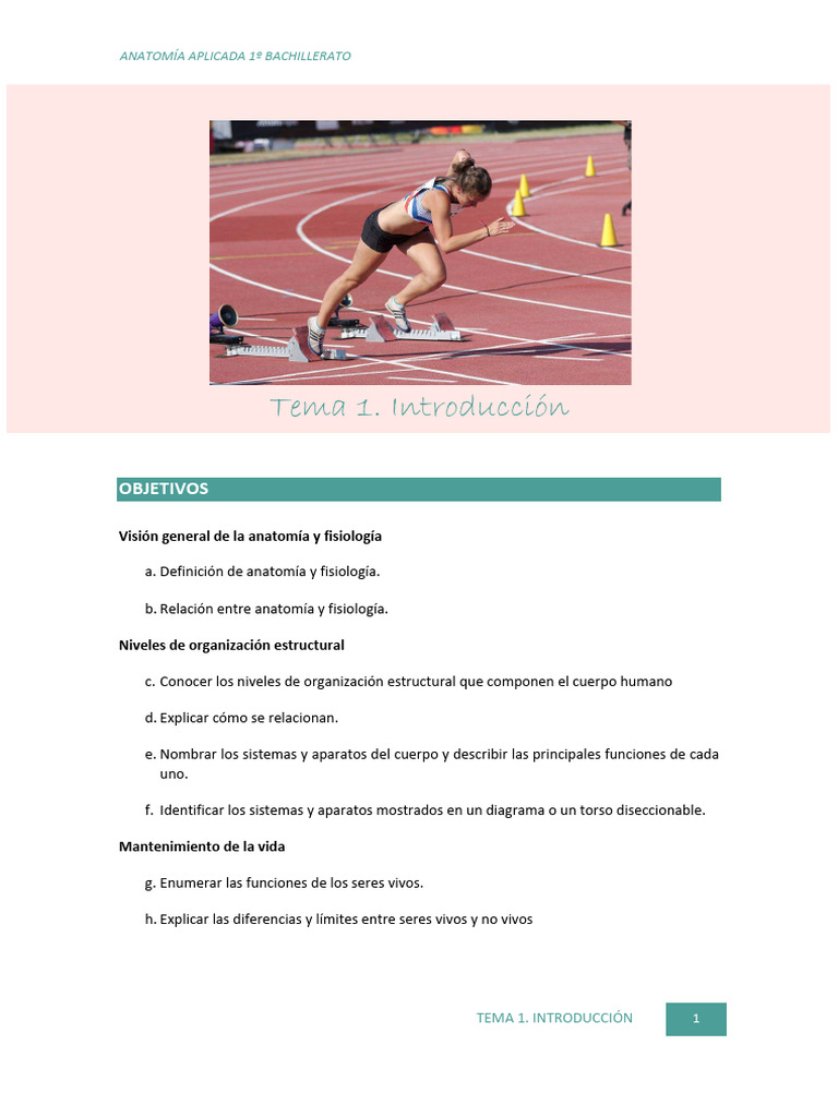 Anat 01 - Introducción Tema | PDF