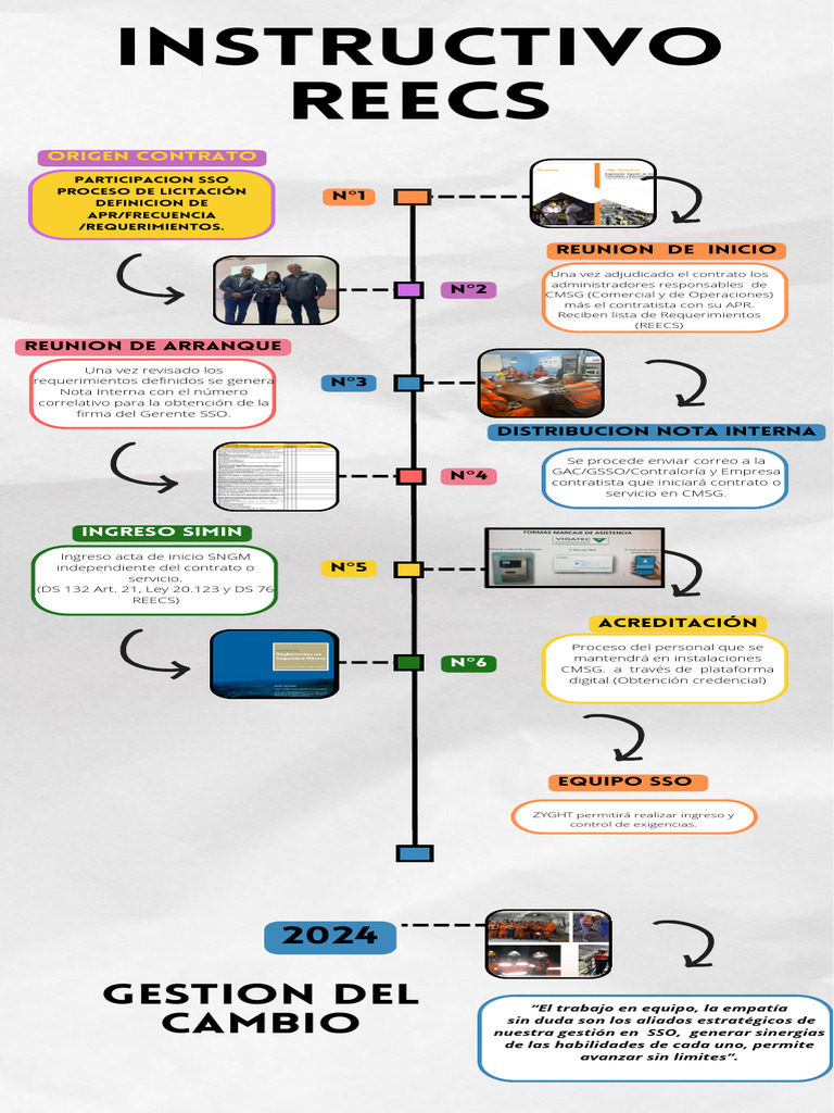 Infografía REECS 2024 | PDF
