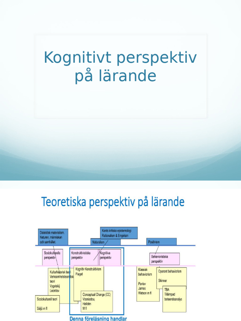 Kognitivt+perspektiv Och Lärande | PDF