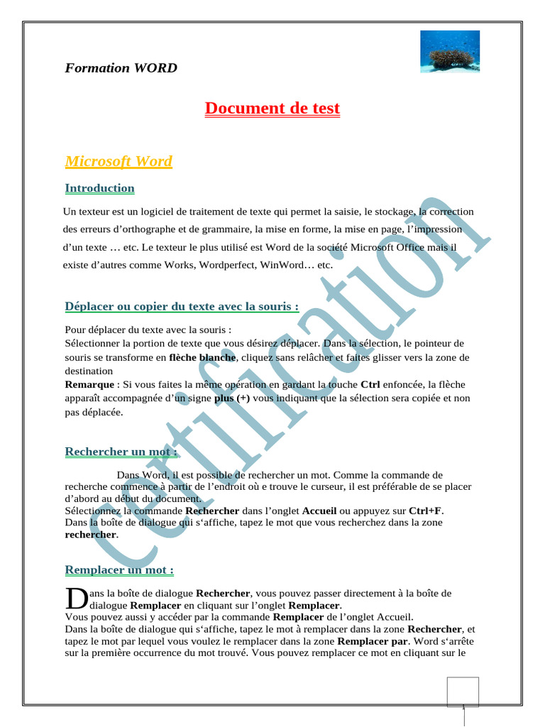 TP0 Initiation À Microsoft Word | PDF