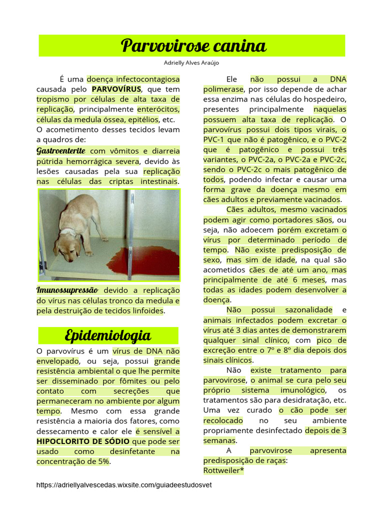 Parvo | PDF