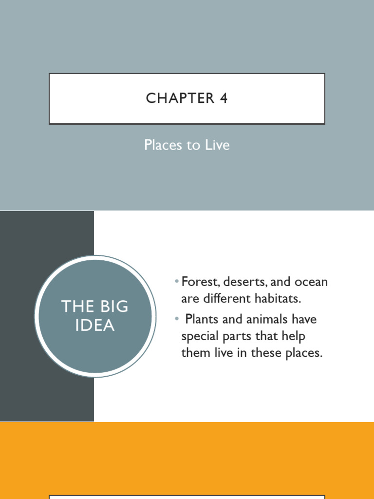 Chapter 4 - Science - 1st Grade - 2024 (Autosaved) - 240823 - 161807 | PDF