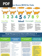 Royal Canin Body Condition Score Charts | PDF | Abdomen | Pelvis