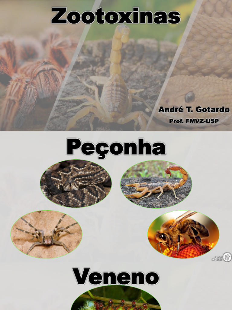 Aula 07 - Zootoxinas | PDF