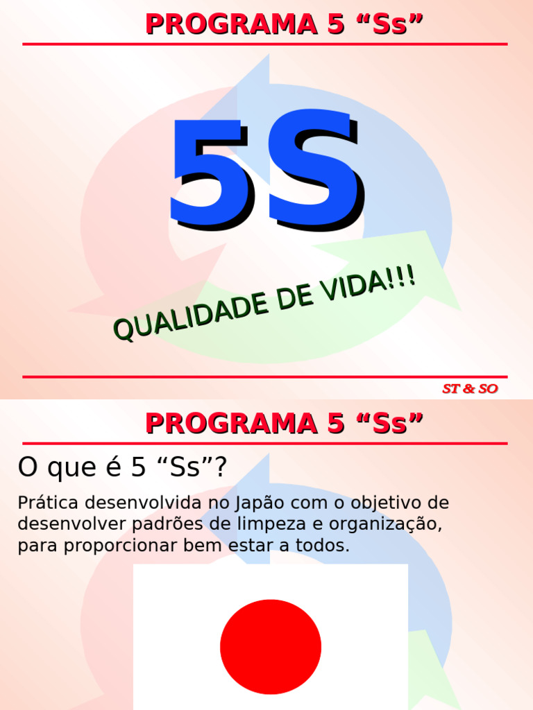 Programa 5s | PDF