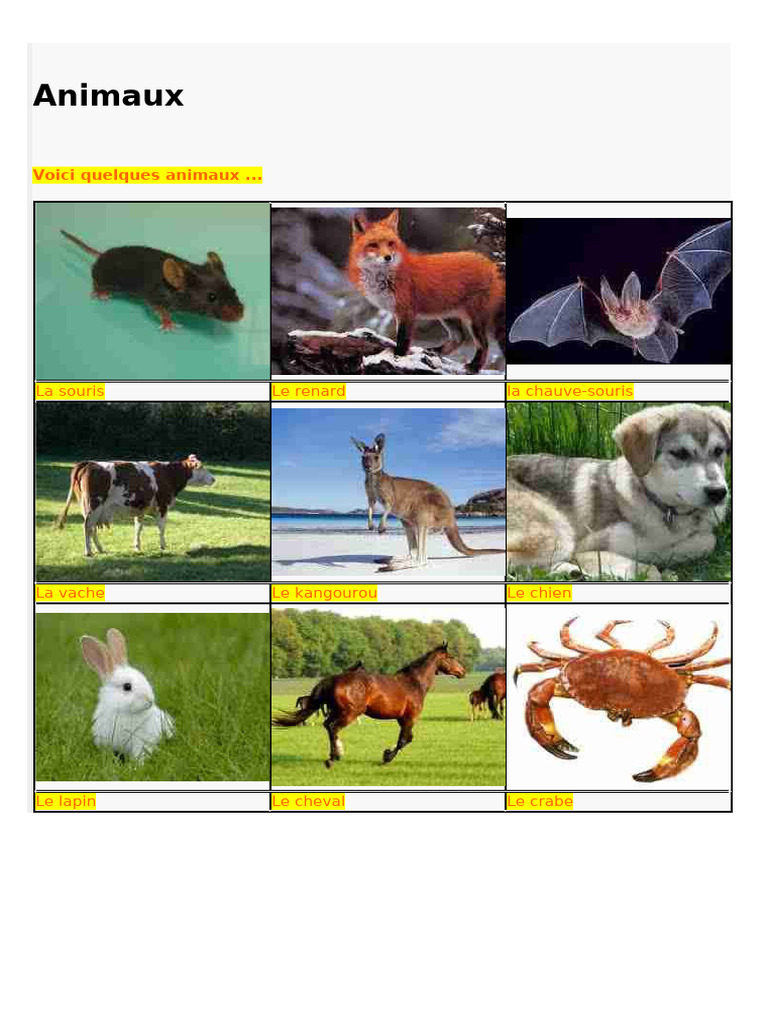 Animaux. Exercices | PDF