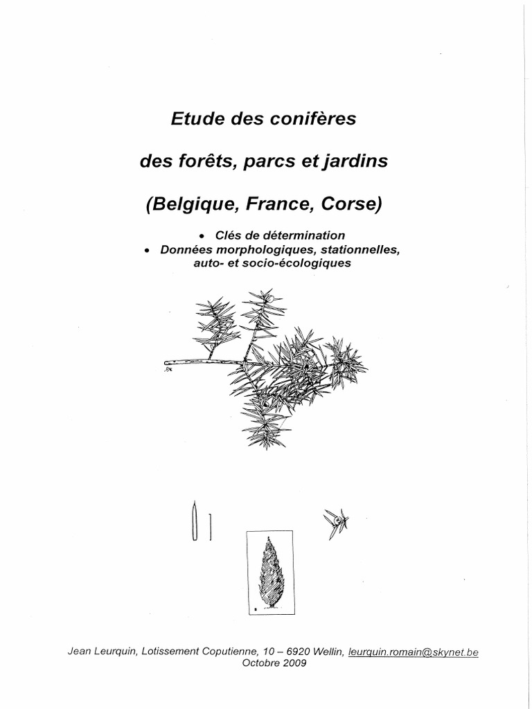 Conifères | PDF