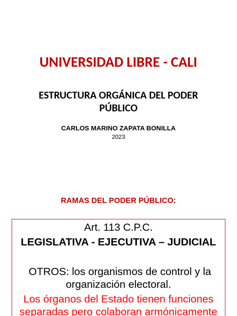 Estructura Organica Del Poder Público | PDF