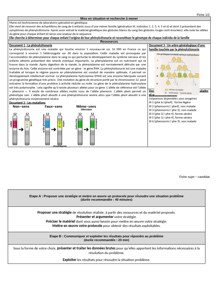 TP Ece Phenylcetonurie Sujet Corrige | PDF