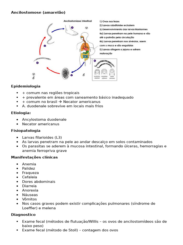 Parasitoses Intestinais | PDF