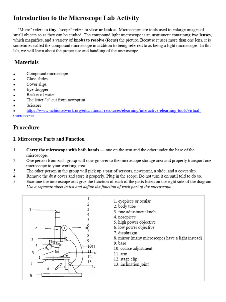 Introduction To The Microscope Lab Activity | PDF