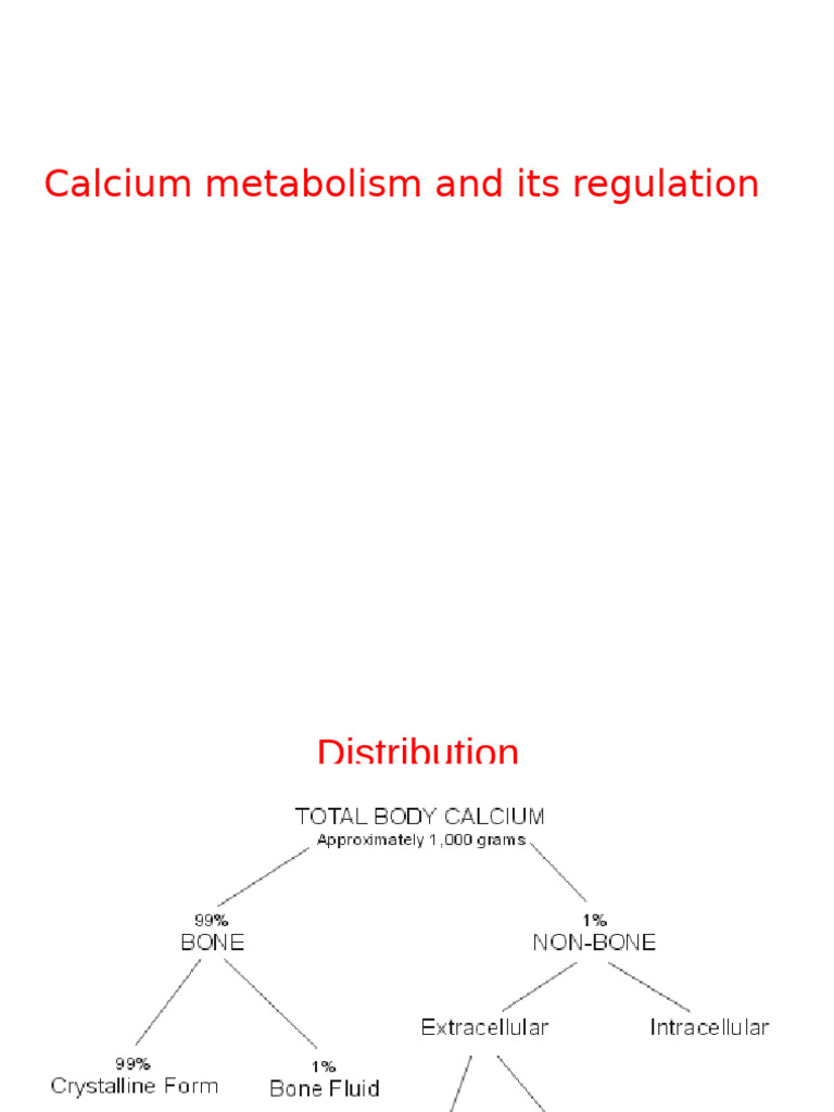 Calcium 1 | PDF