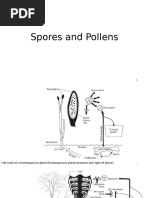 Interpreting Pollen Diagrams in Palynology | PDF