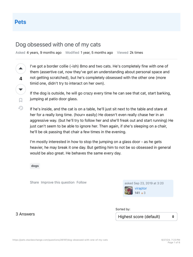 Dog Obsessed With One of My Cats - Pets Stack Exchange | PDF