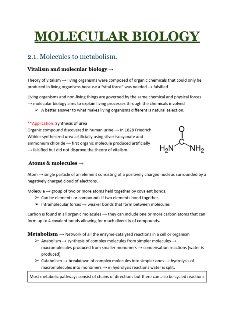 Molecular Biology | PDF