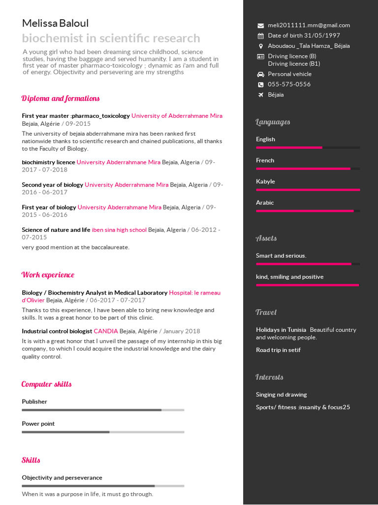 CV in English | PDF