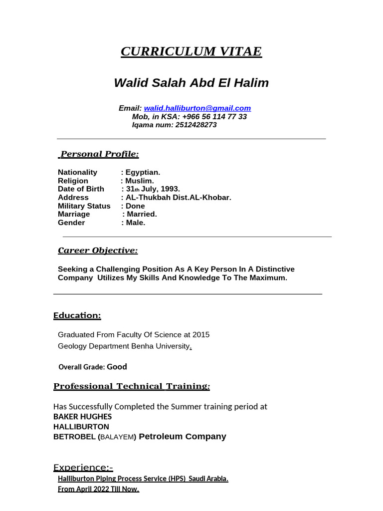 CV Walid Salah KSA | PDF
