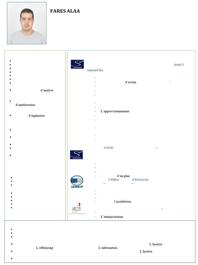 CV Fares Alaa | PDF | Software Engineering | Computing