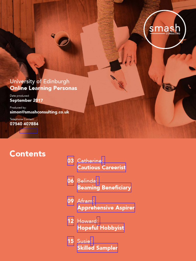 Online Learner Personas Final | PDF