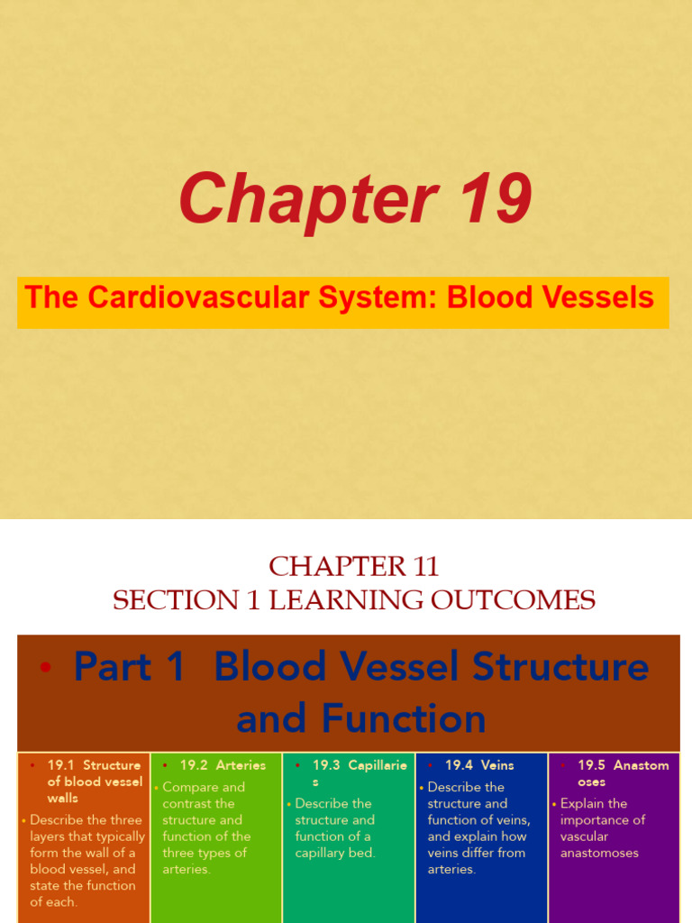 Chapter 19 Powerpoint | PDF