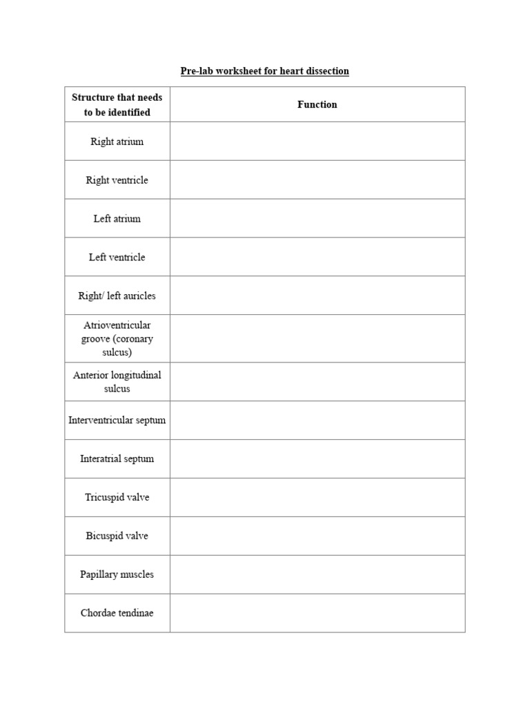 Pre-Lab Worksheet For Heart Dissection | PDF