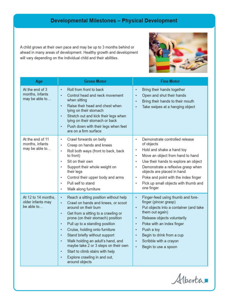 Developmental Milestones | PDF
