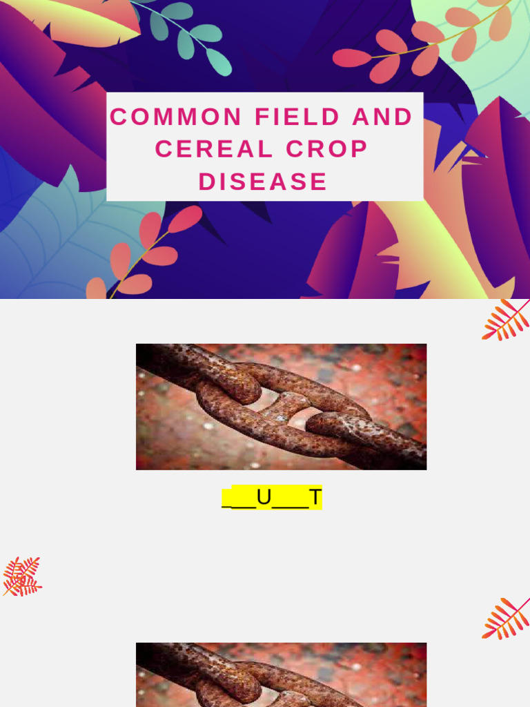Common Diseases | PDF