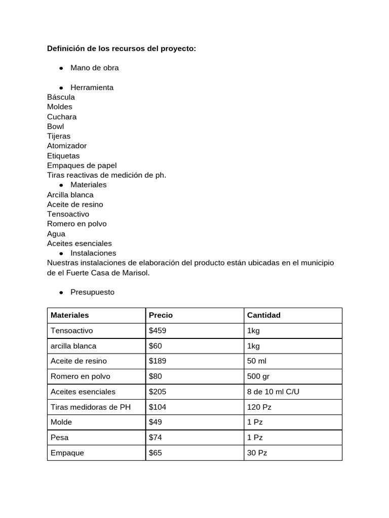 Definición de Los Recursos Del Proyecto | PDF
