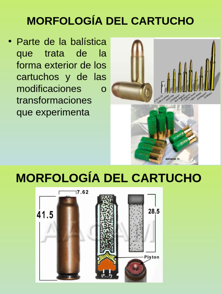 IIMorfología del Cartucho GEO-2 | PDF