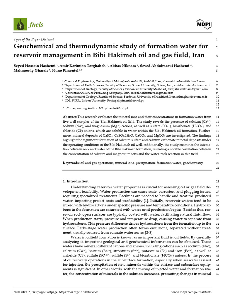 Paper - Amir 2024 Fuels | PDF