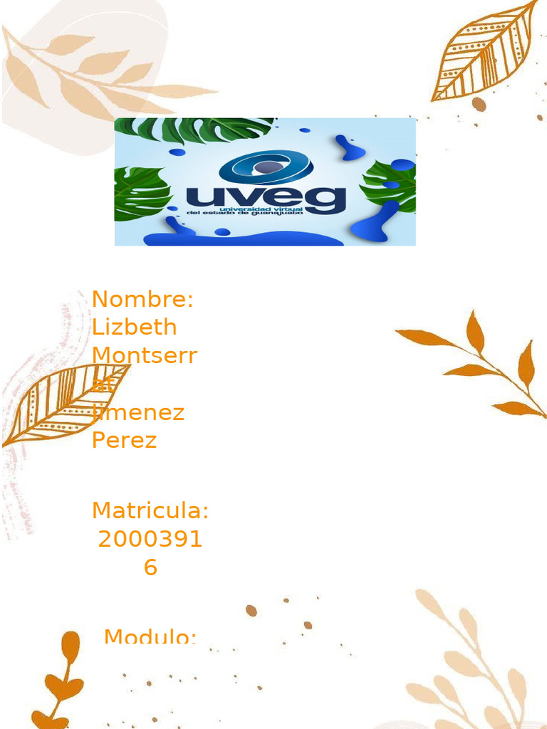 Jimenez - Lizbeth - Primera Entrega | PDF