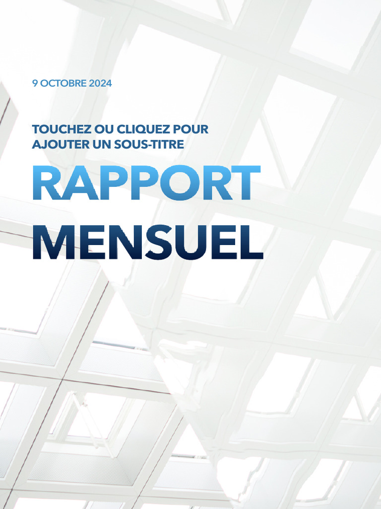 Rapport Professionnel | PDF