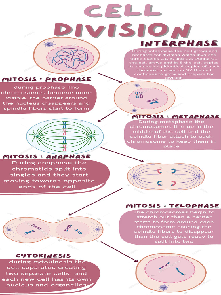 Blue Simple Effective Communication Infographic | PDF | Science & Mathematics