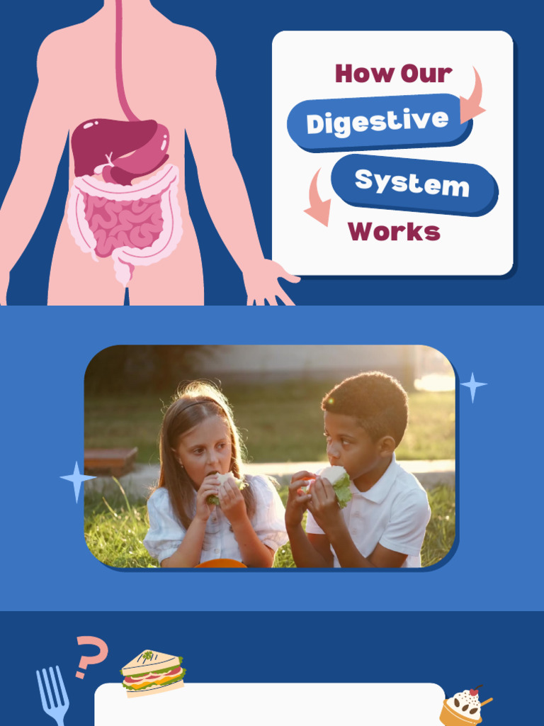 How Our Digestive System Works Educational Video in Flat Graphic Flat ...
